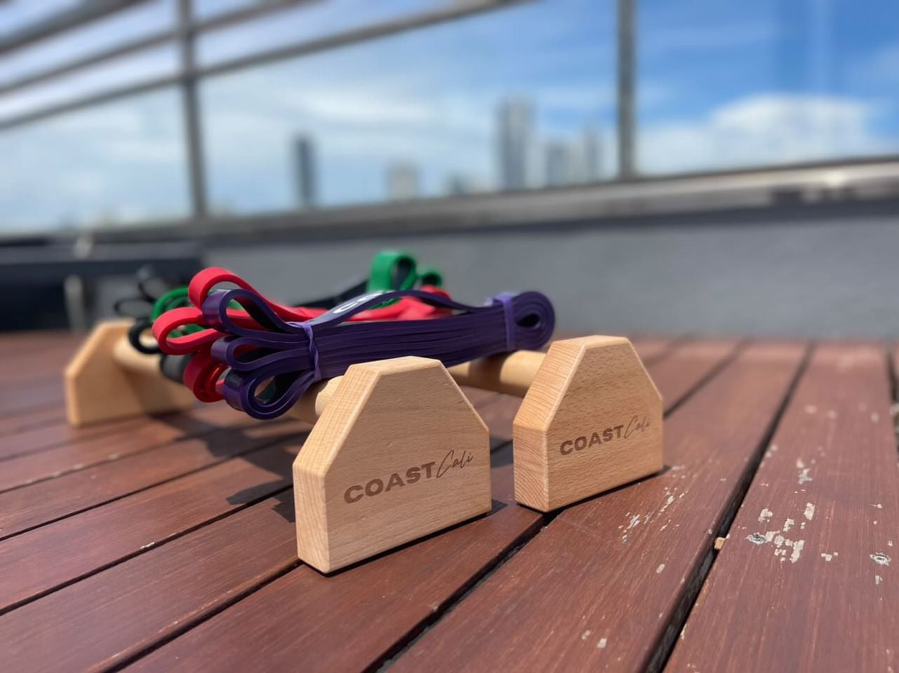 Calisthenics Equipment for Beginners | Coast Cali